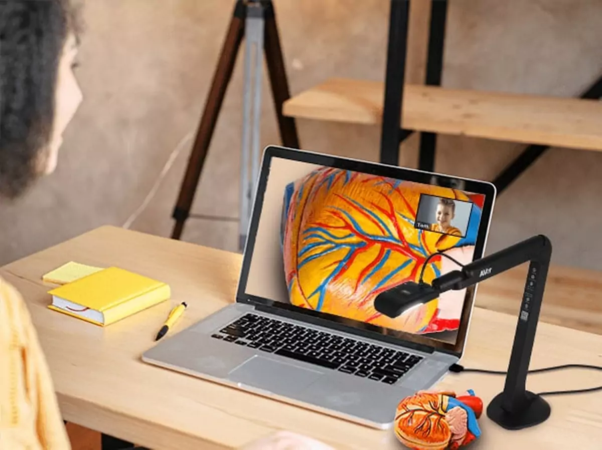 Comment utiliser un visualiseur